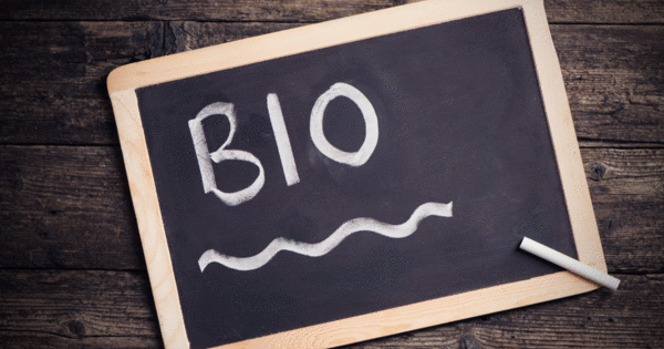 Como criar uma bio perfeita para Instagram - Viva de Conteúdo